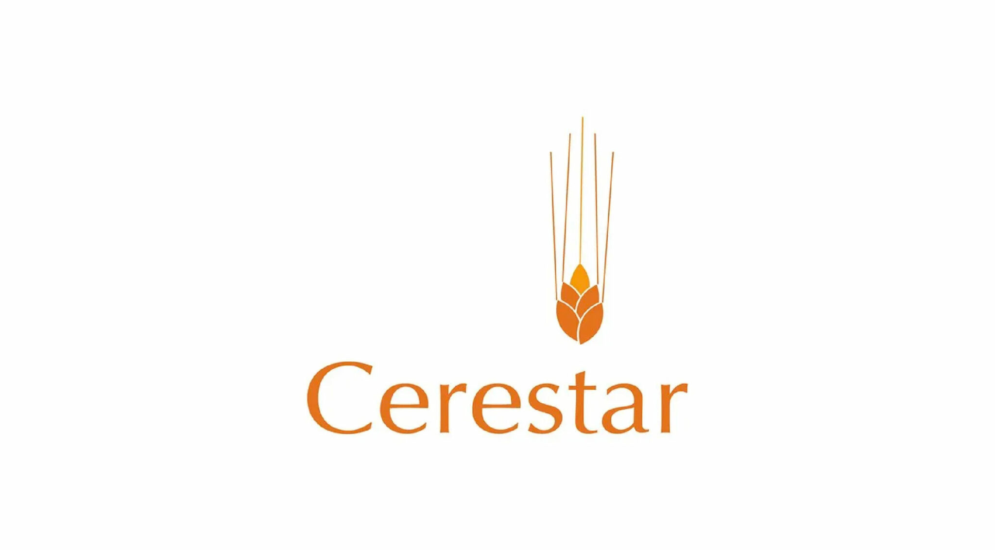 Lowongan Kerja PT Cerestar Flour Mills